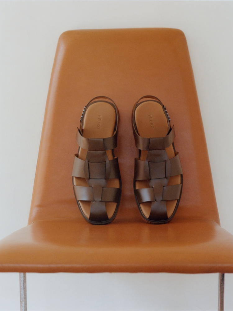 PEDRO JOURNAL PEDRO US