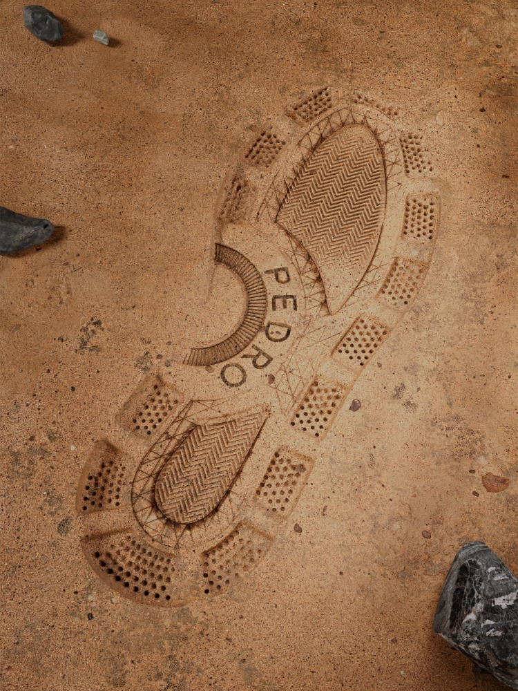 PEDRO JOURNAL PEDRO MY